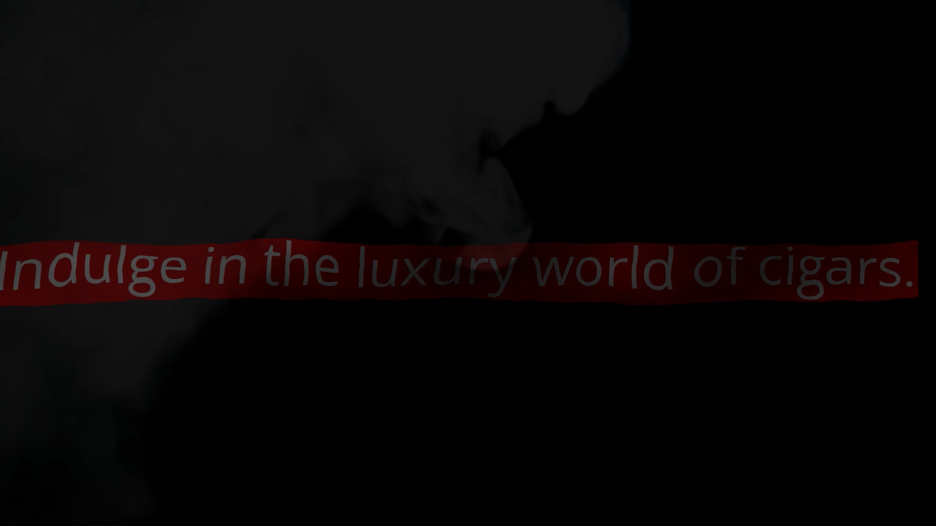 Black Owned Cigars | Premium Luxury Cigars | Black Stallion Cigar