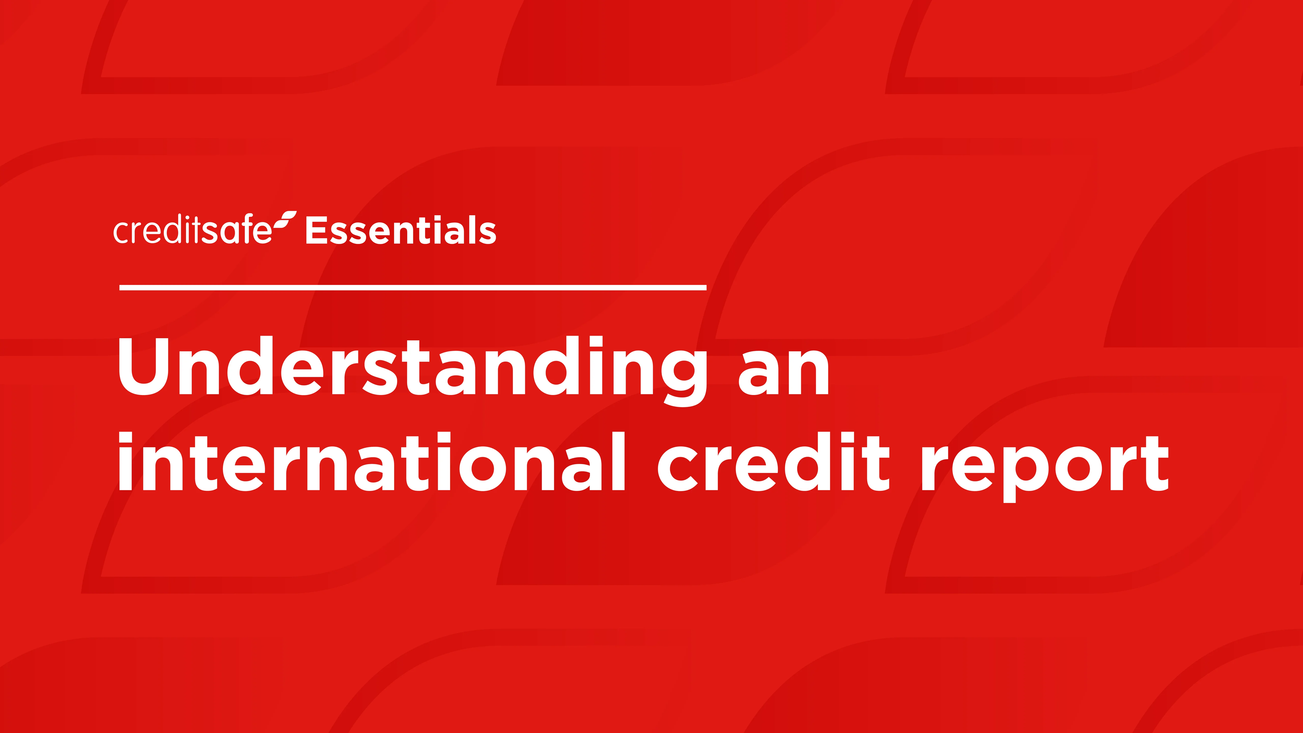 Understanding an international credit report | Creditsafe Essentials on ...