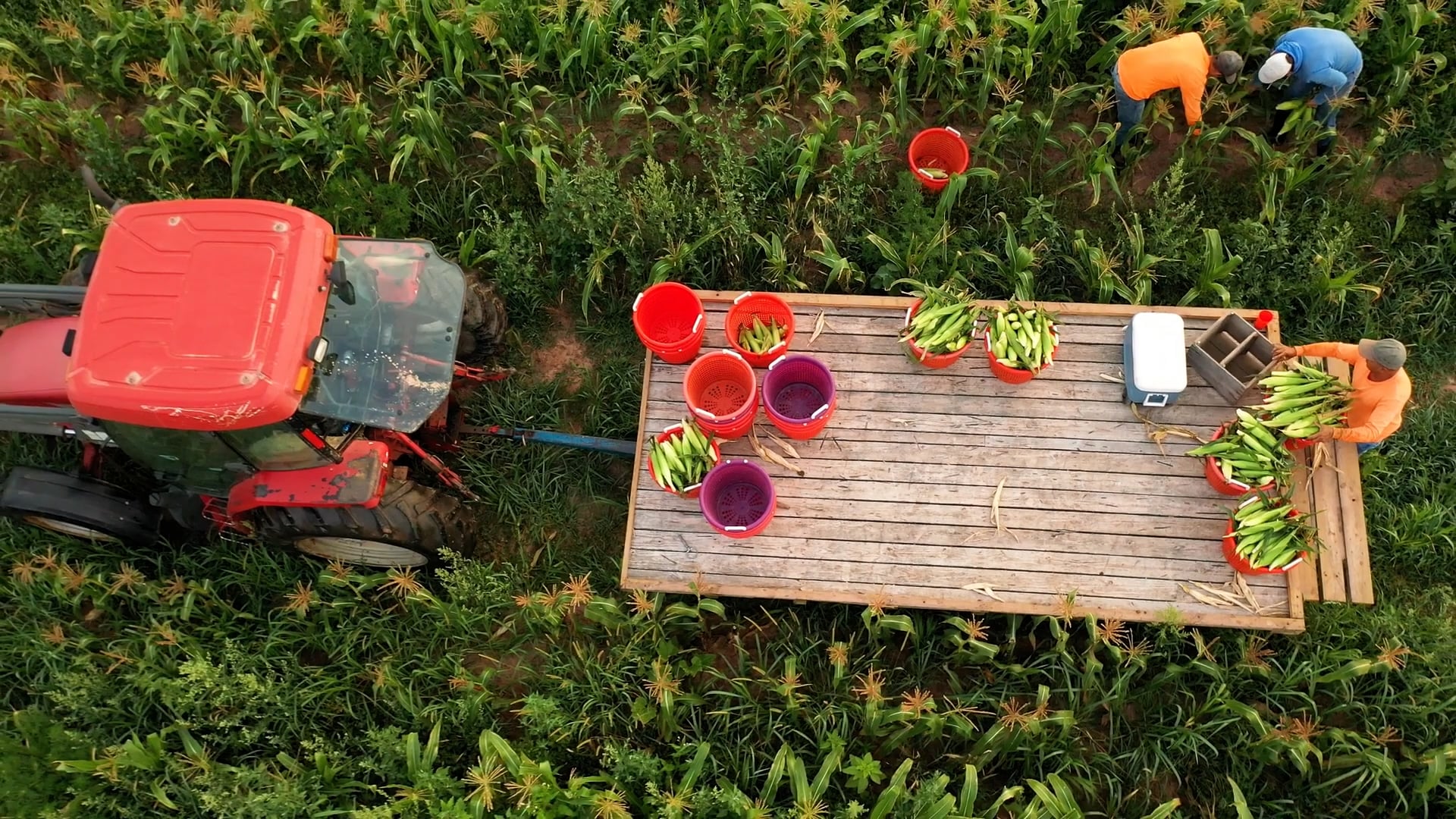 Contact | MTD Produce