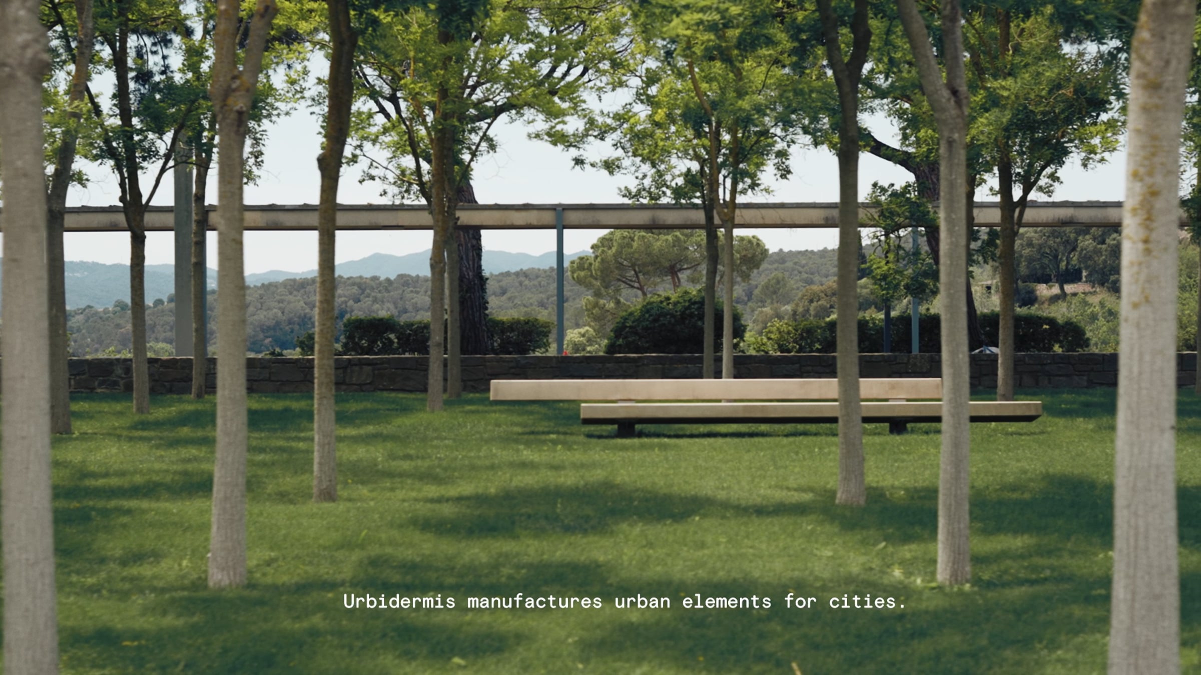 The Living City - Level Zero