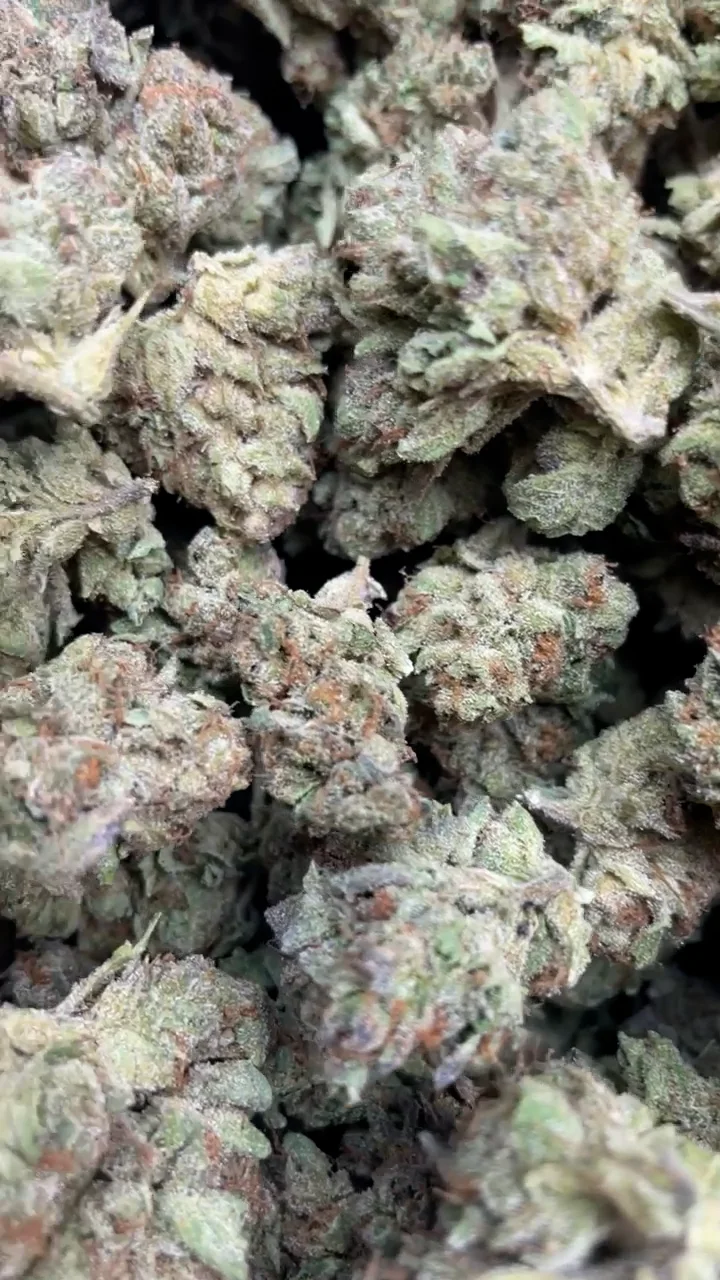 Apple Runtz Indoor- THCa Flower