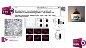 SFE BES 2023 On Demand