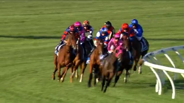 Flying Artie - Stallion | Breednet