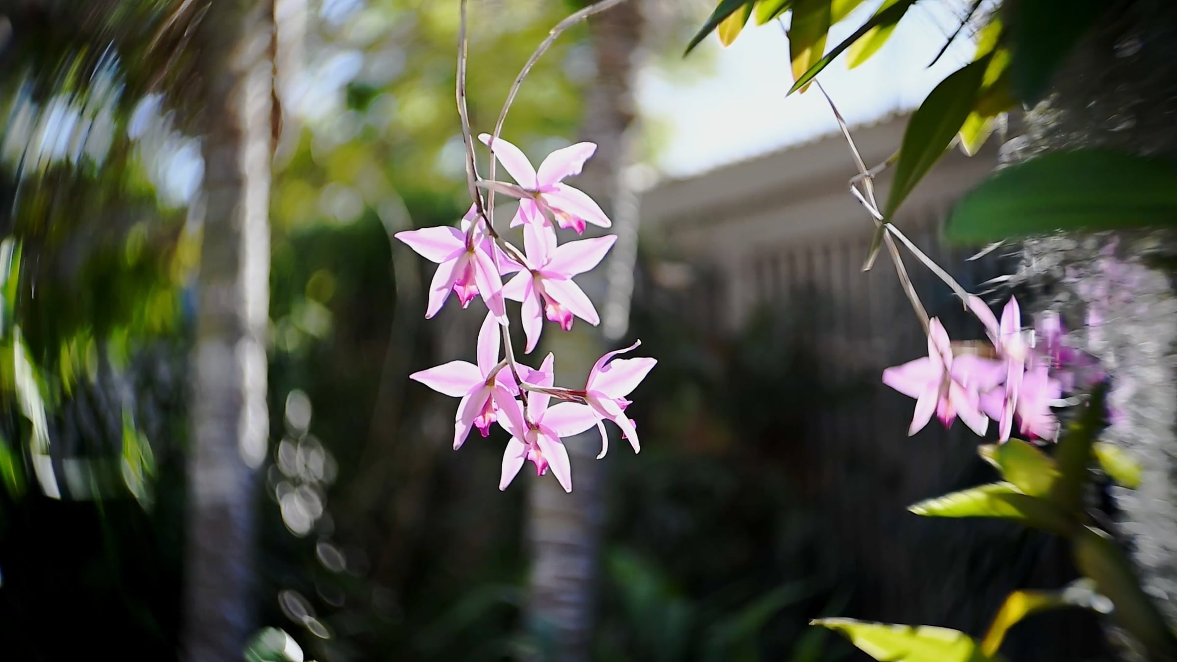 Sherman Gardens | Videos & Movies on Vimeo