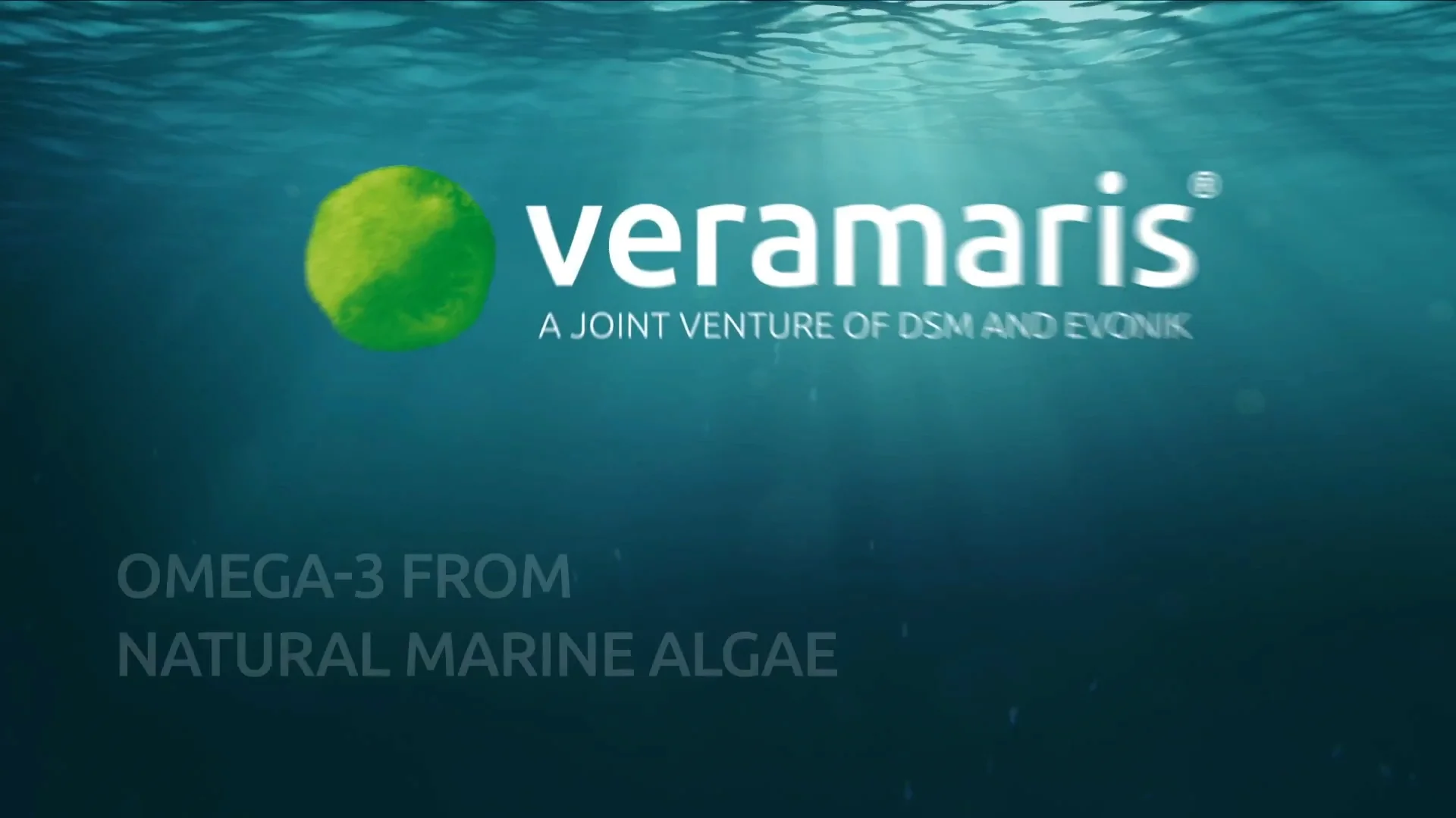 DSM_ANH Animation Veramaris