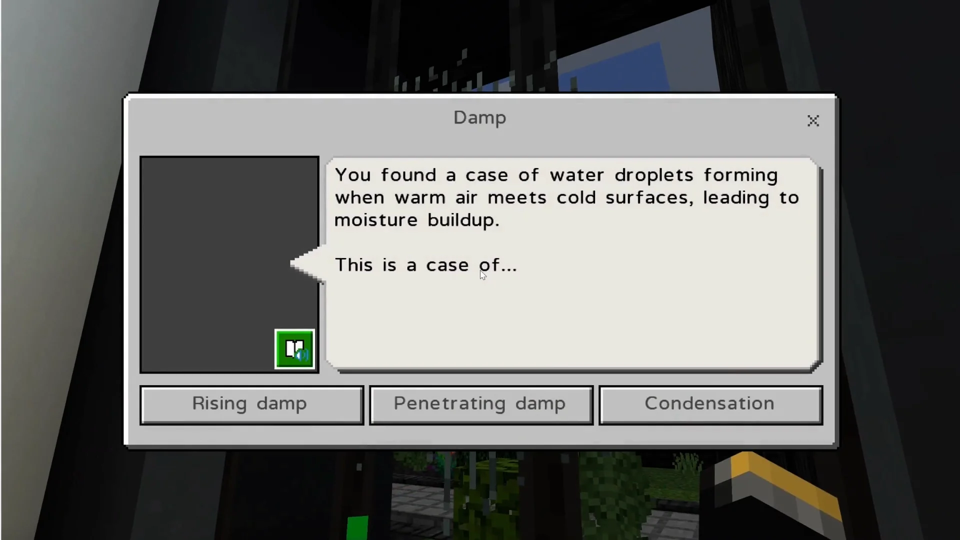Minecraft - Damp & Mould