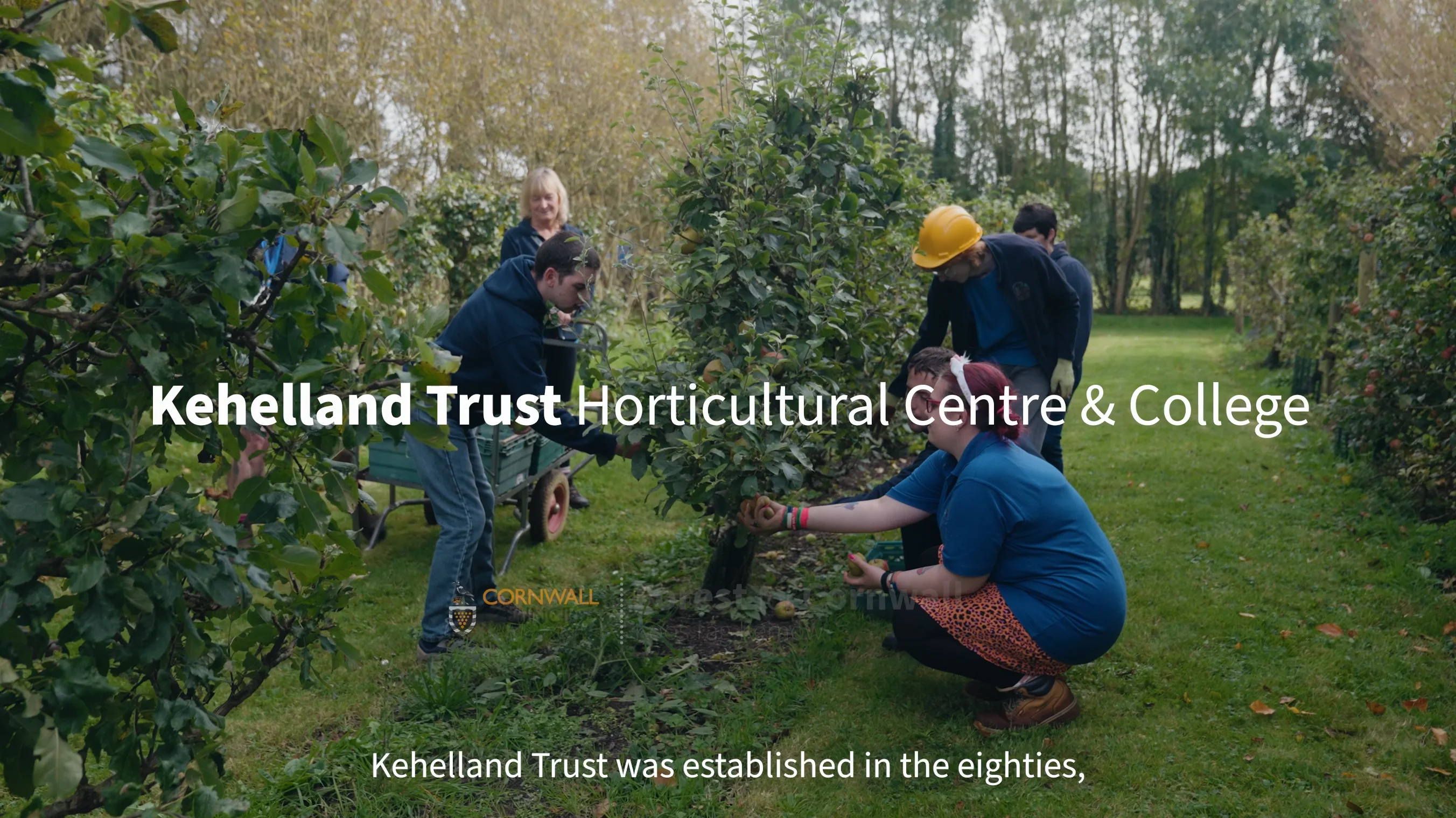 Forest for Cornwall - Kehelland on Vimeo