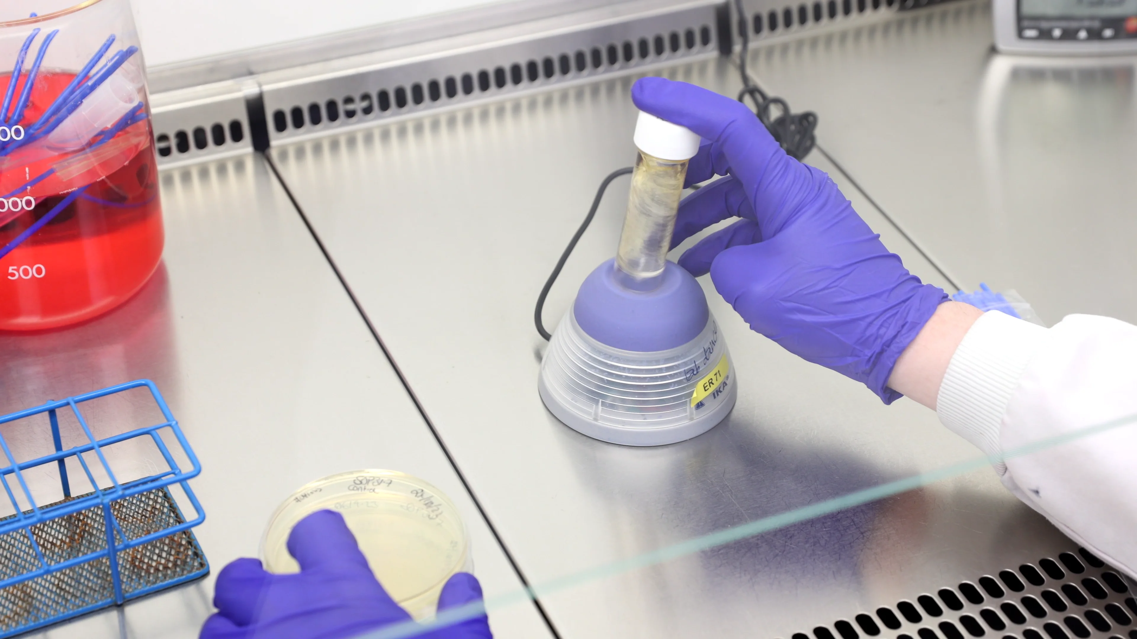 Bio Lab 4