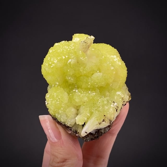Adamite - SM24-067 - Ojuela Mine - Mexico Mineral Specimen