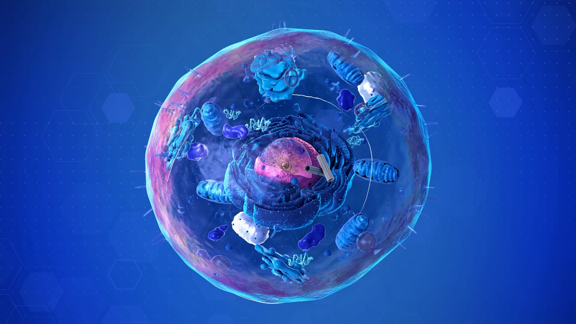 Micro-Tag™ Platform