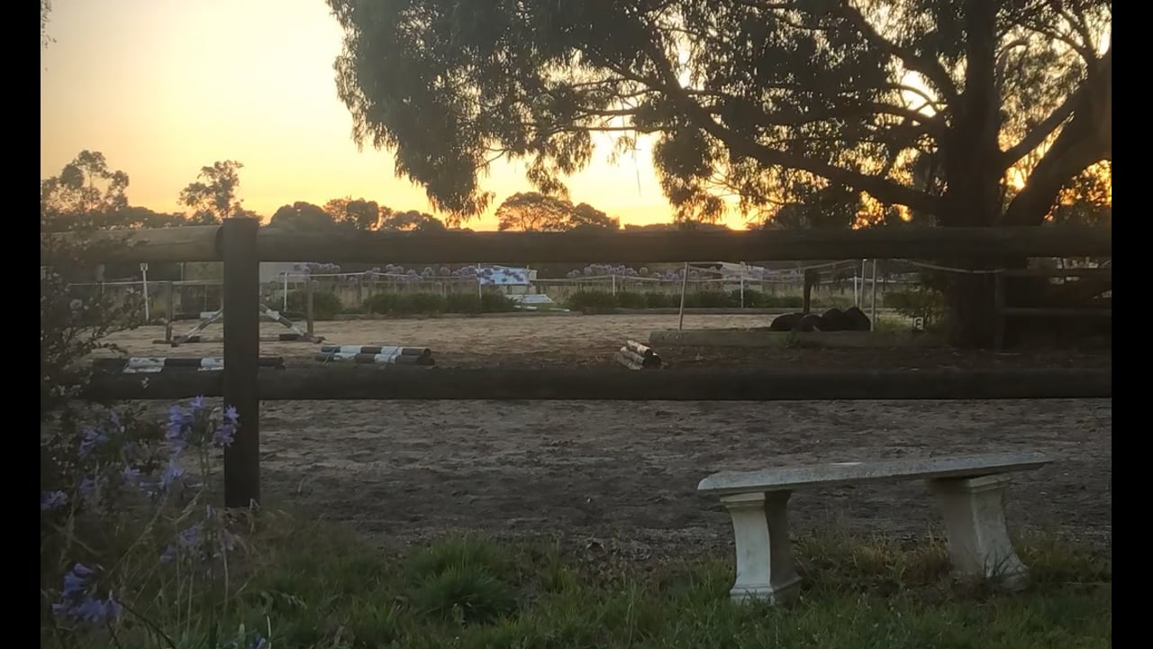 Amy Smith Equestrian