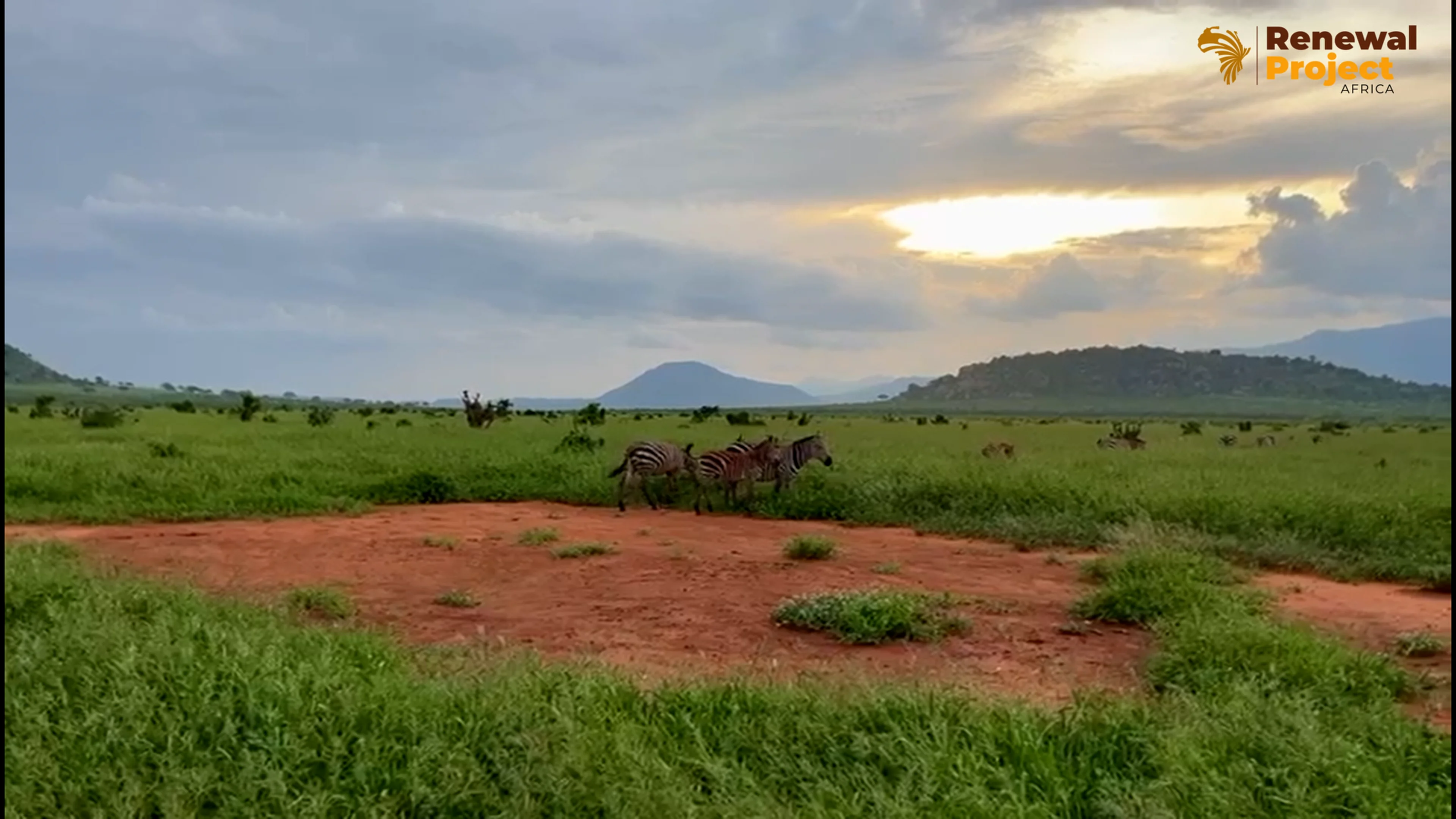 Intern Mikaila December update on Vimeo