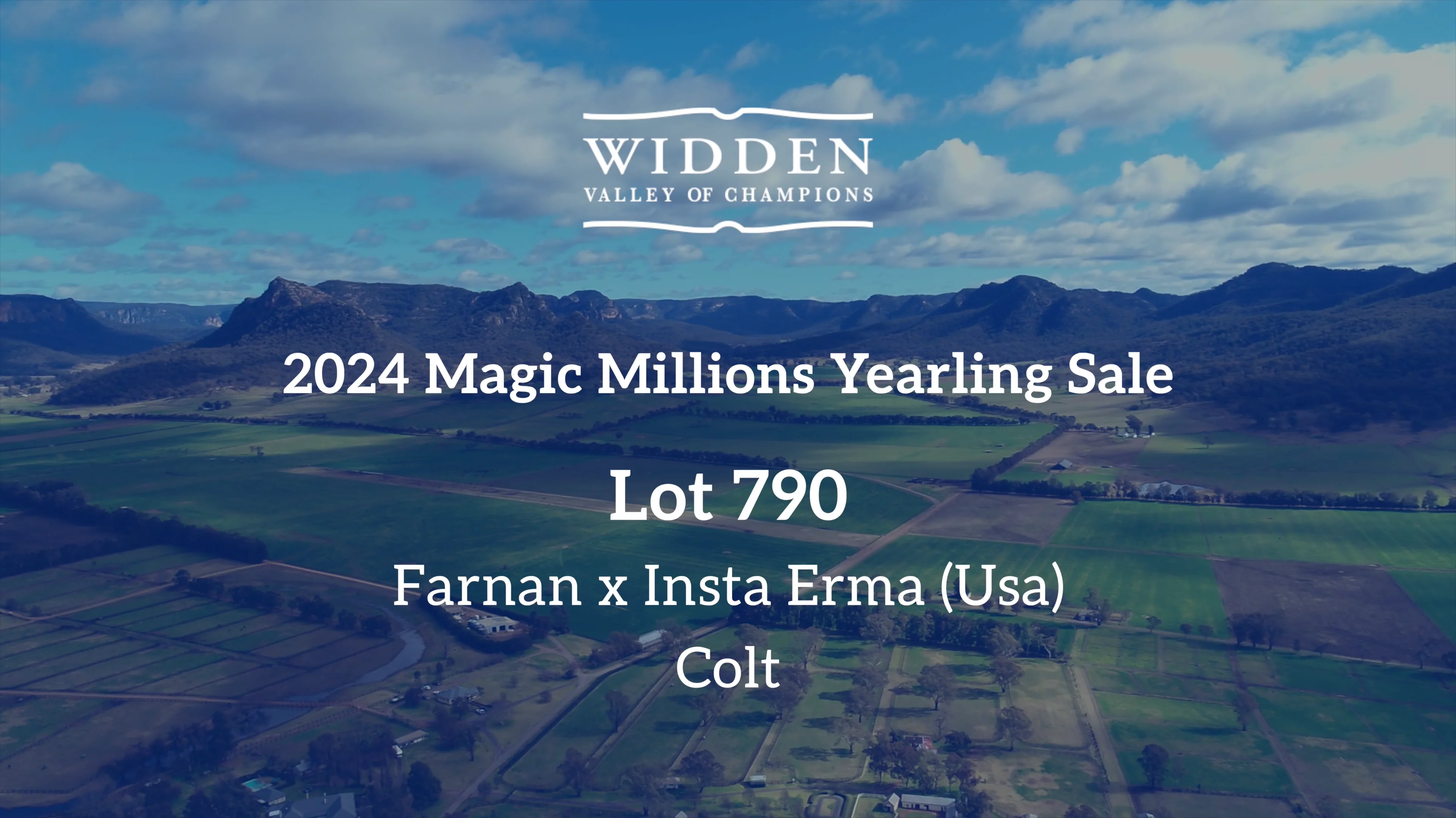 Lot 790 Farnan x Insta Erma Colt on Vimeo