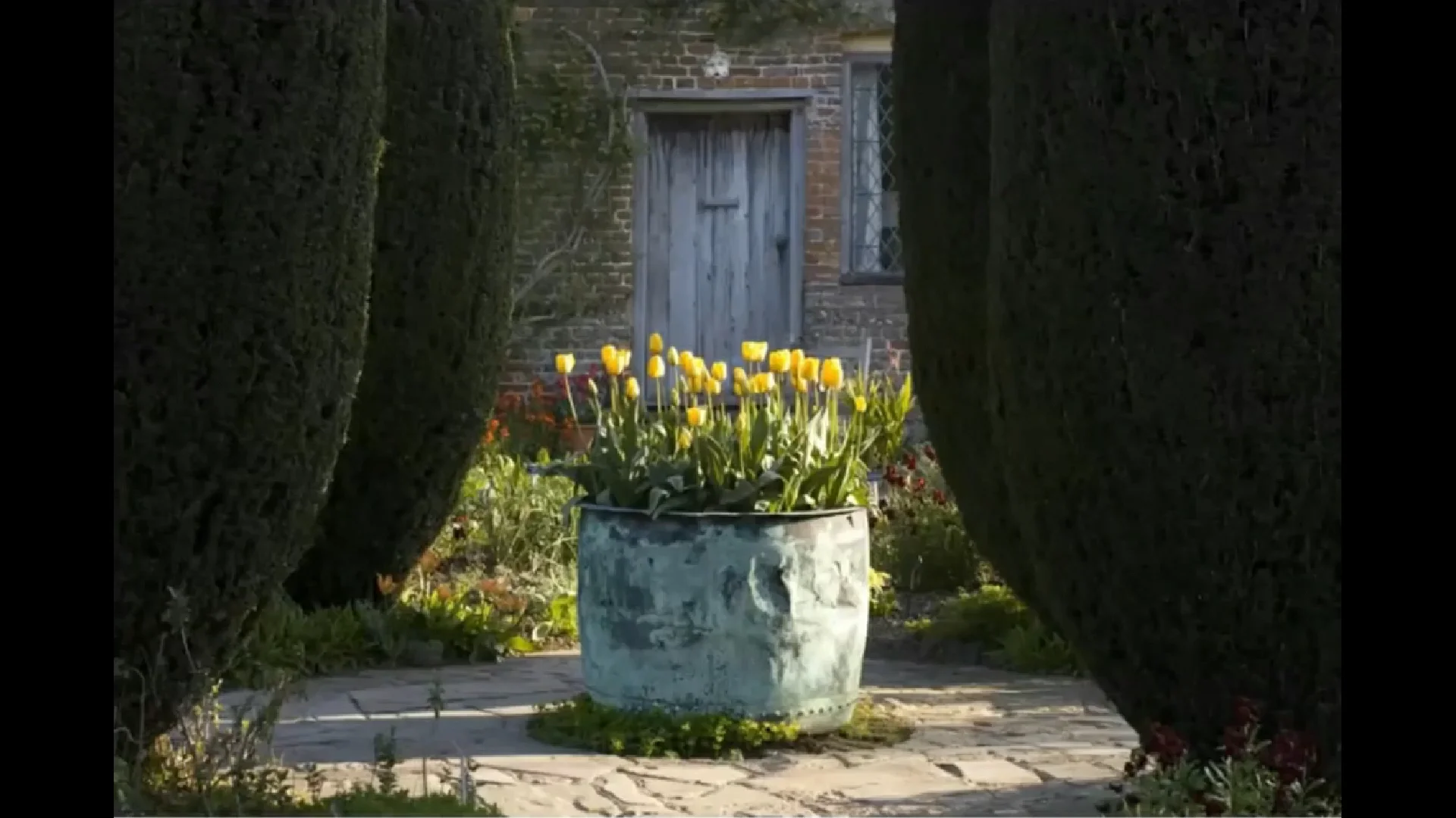 Watch Troy Scott Smith Planting spring and summer containers Online ...