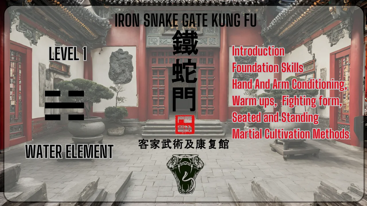 Watch IRON SNAKE GATE KUNG FU - Level 1: Water Element Online | Vimeo ...