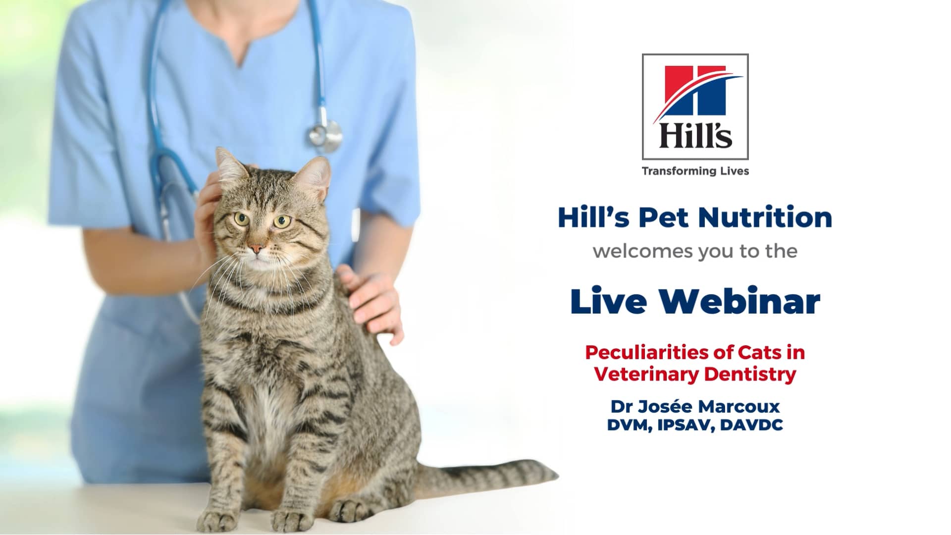 Dr Josée Marcoux (ENG) - Jan 18 - Intro & Outro Music on Vimeo