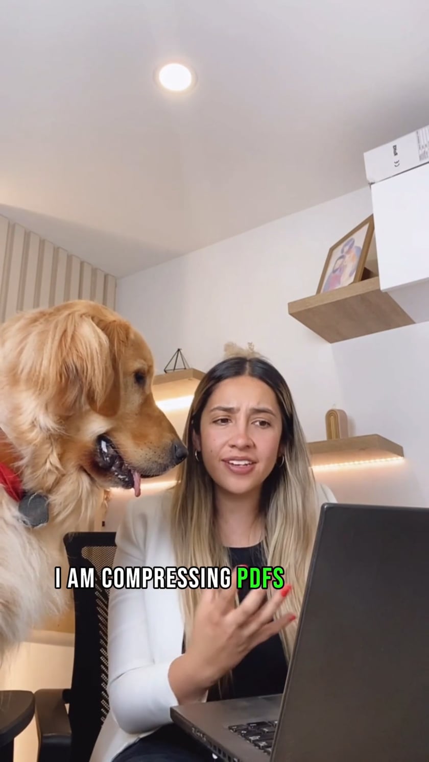 15 UGC Video Examples That Changed the Game