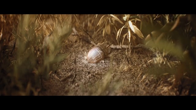 Oakley Project 2075 - The FWA