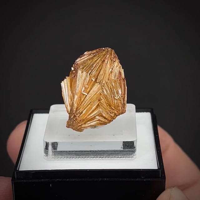 Pyrophyllite | Champion Mine, White Mtns., Mono Co., California, USA