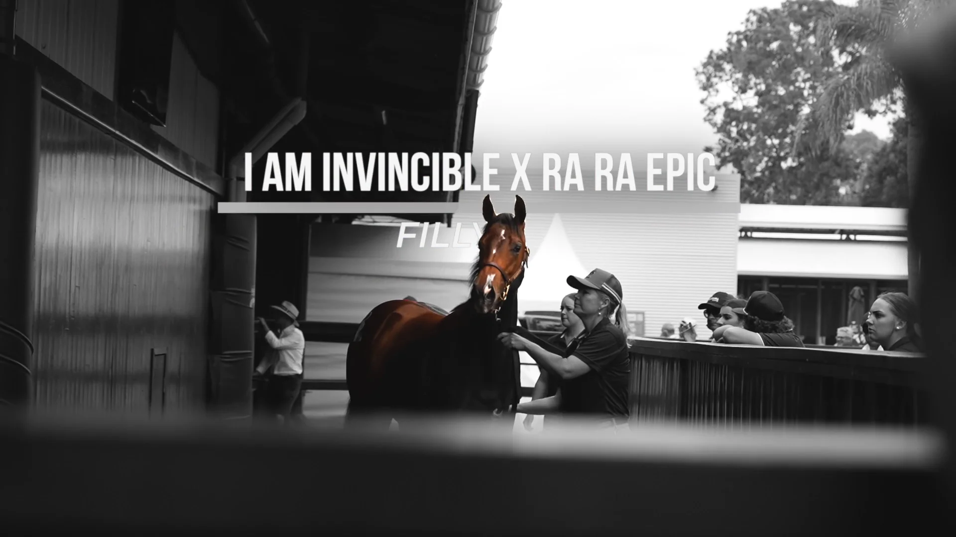 Magic Millions 2024: Lot 76 | I Am Invincible x Ra Ra Epic Filly on Vimeo