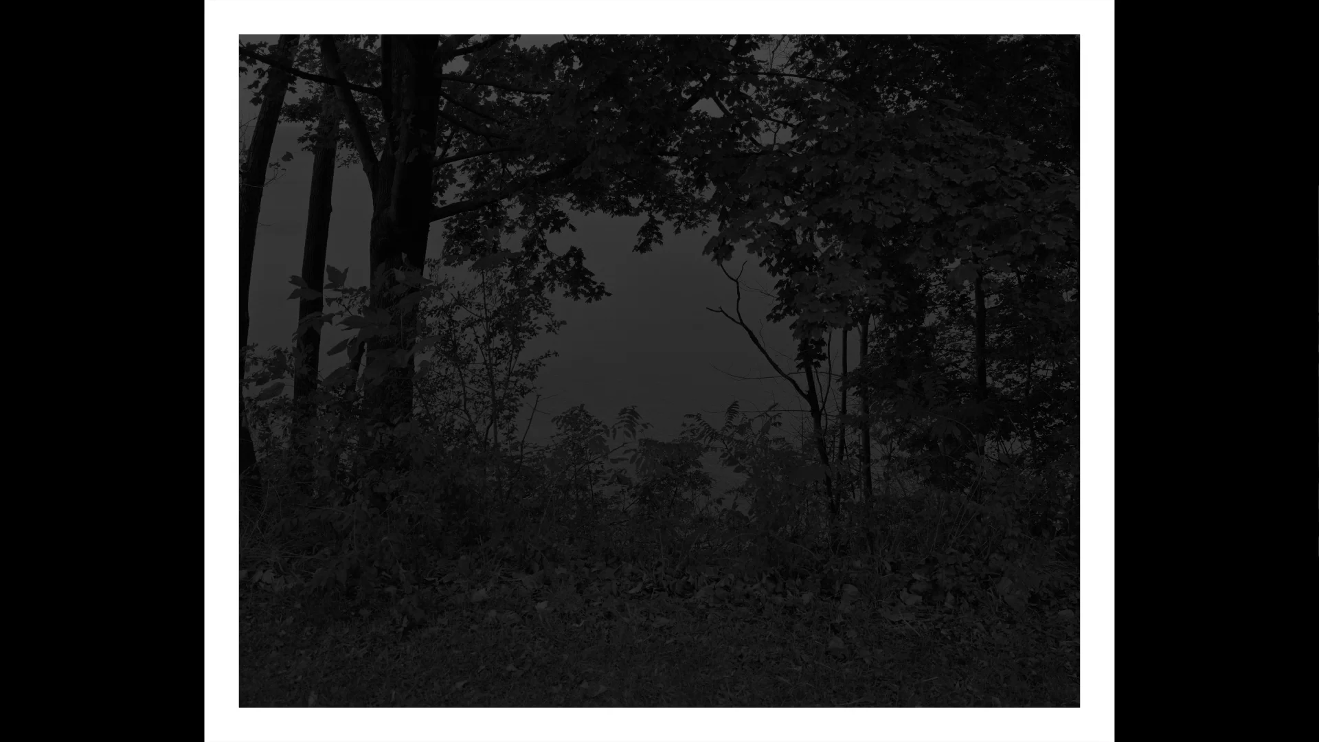 Dawoud Bey in Conversation with Chanda Feldman on Vimeo