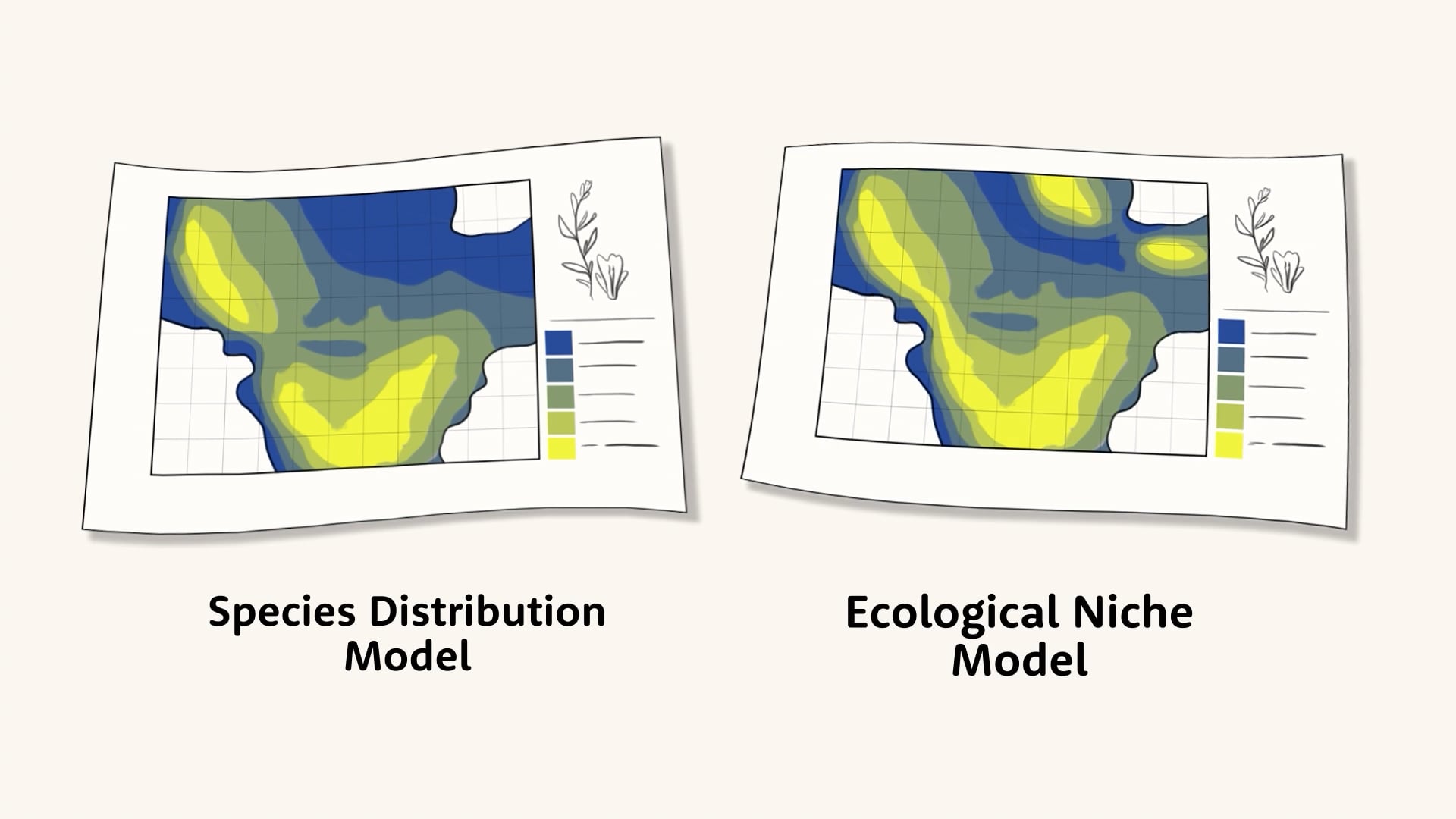 Species Distribution Models vs. Ecological Niche Models