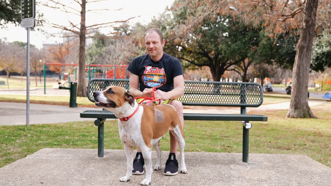 DPA Bark Program Story