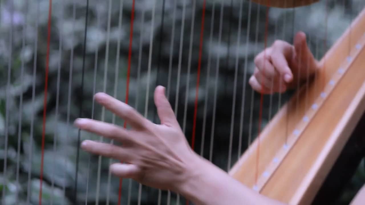 CELLO + HARP - Golden Hour by JVKE played by Liz the cellist and Rachel ...