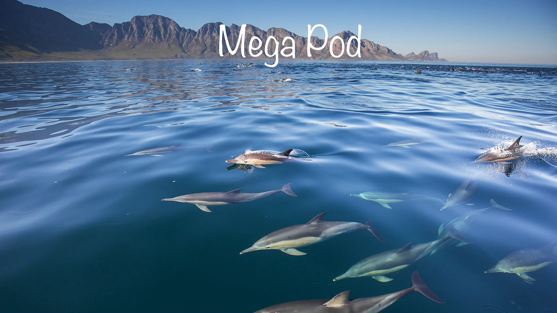 Mega Pod on Vimeo