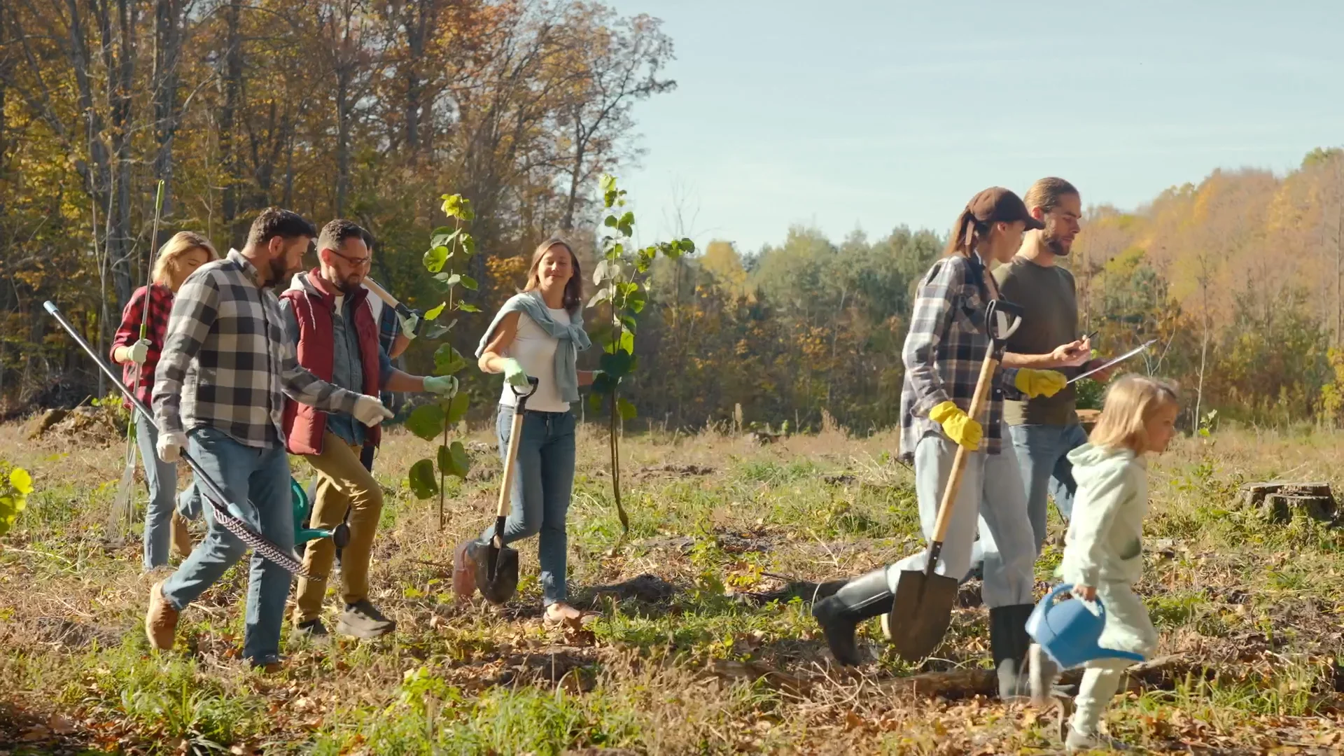 Proxima Social Value on Vimeo