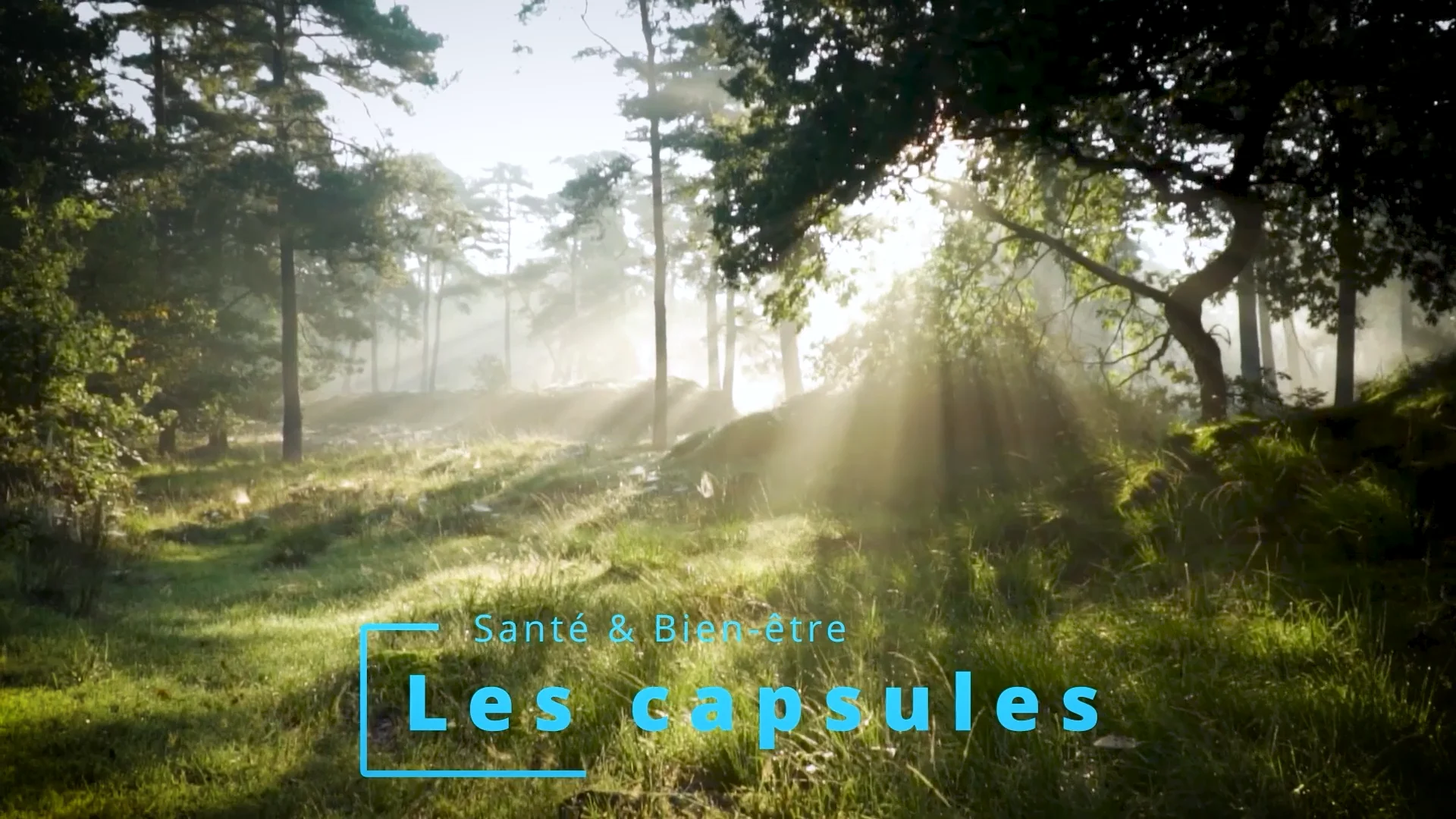 Capsule Santé & Bien-être - L'auto-observation on Vimeo