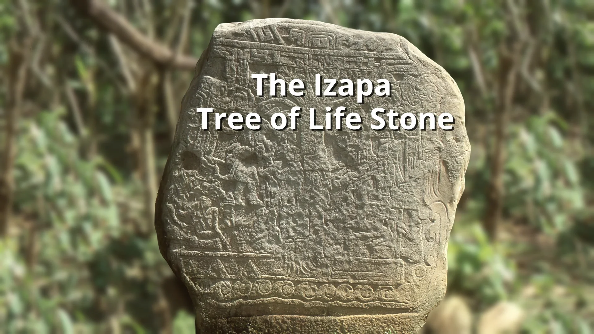The Izapa Maya Tree of Life and the Ancient Record of the Book of Mormon.