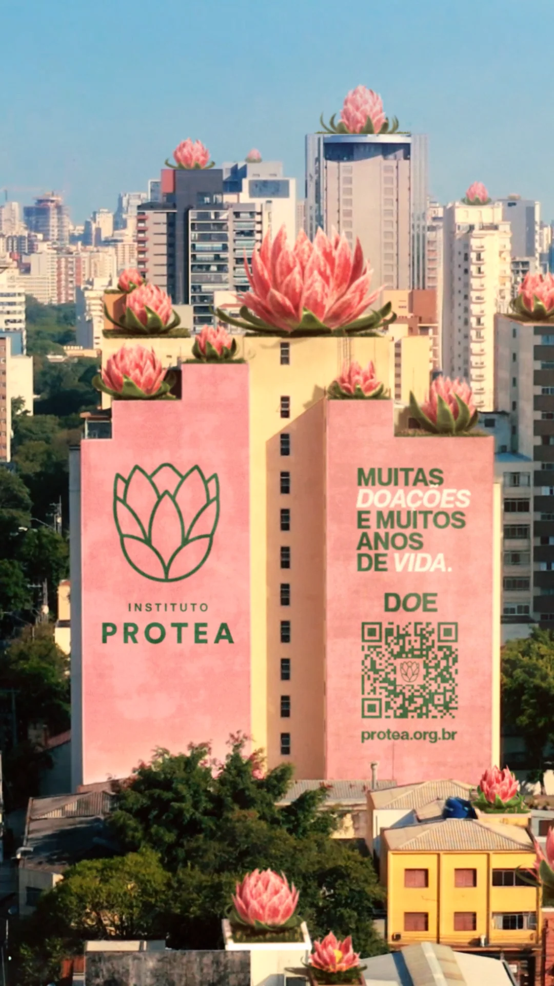 Instituto Protea FOOH on Vimeo