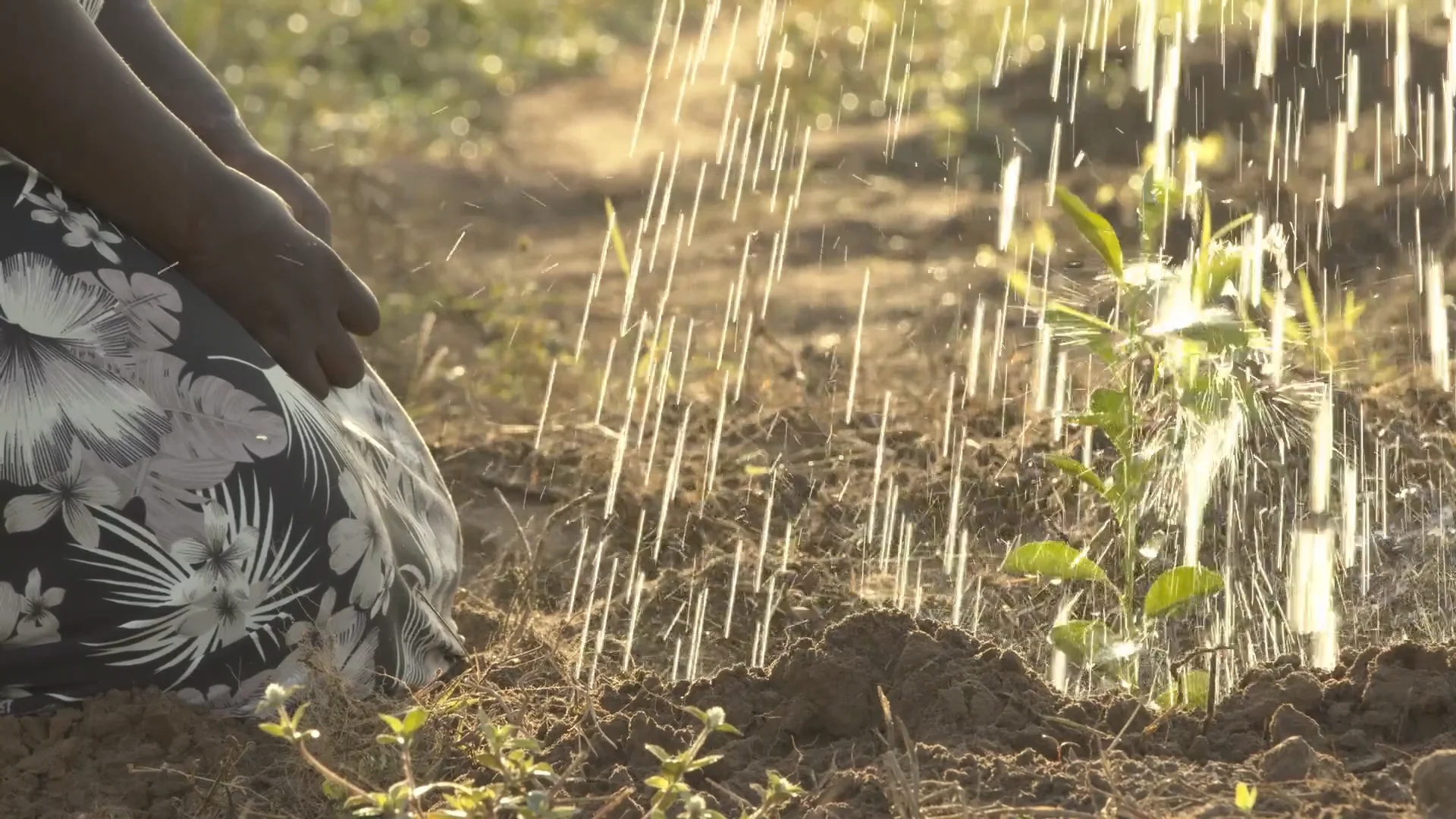 TPOTY 2023 MPB World in Motion Runner Up on Vimeo