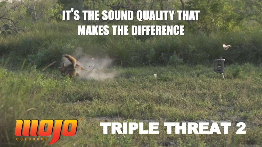 MOJO Predator Loop Tape 23 24 - 1080WebShareName on Vimeo