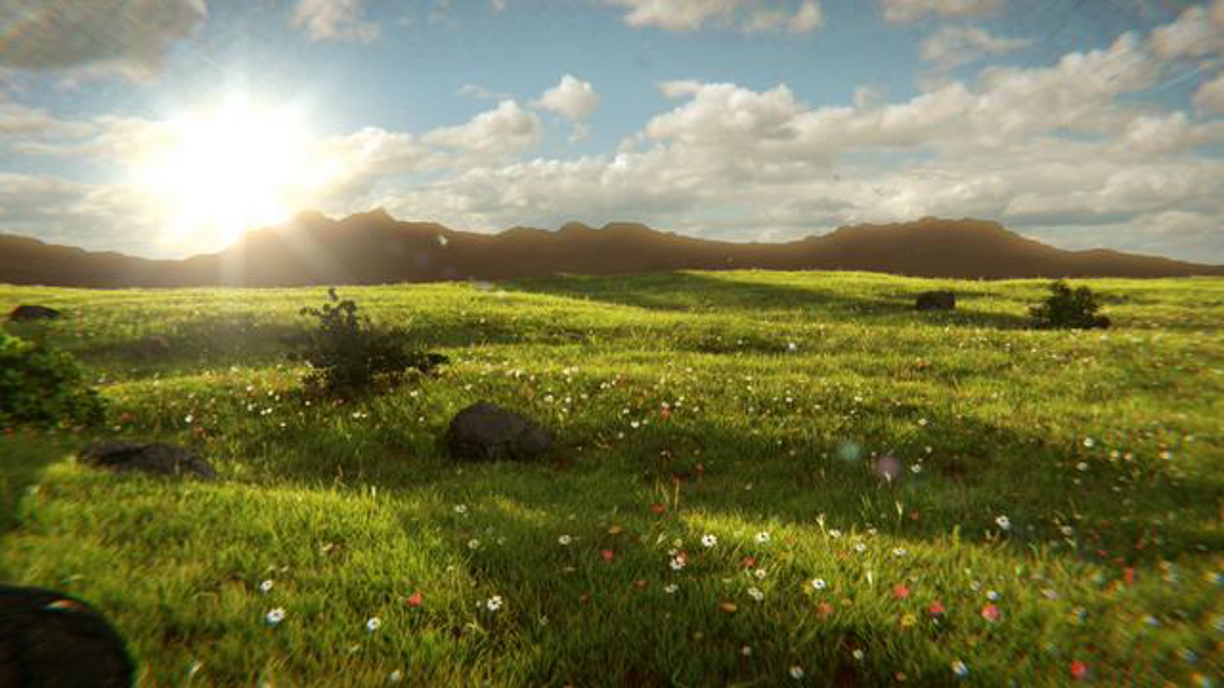 Blender Grass Field - FINAL