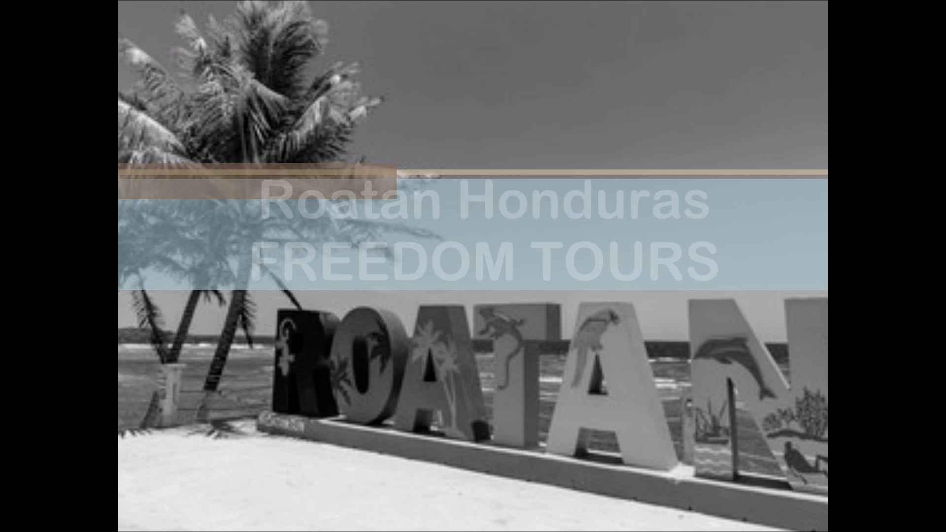 Discover the Best Food and Restaurants in Roatan Honduras