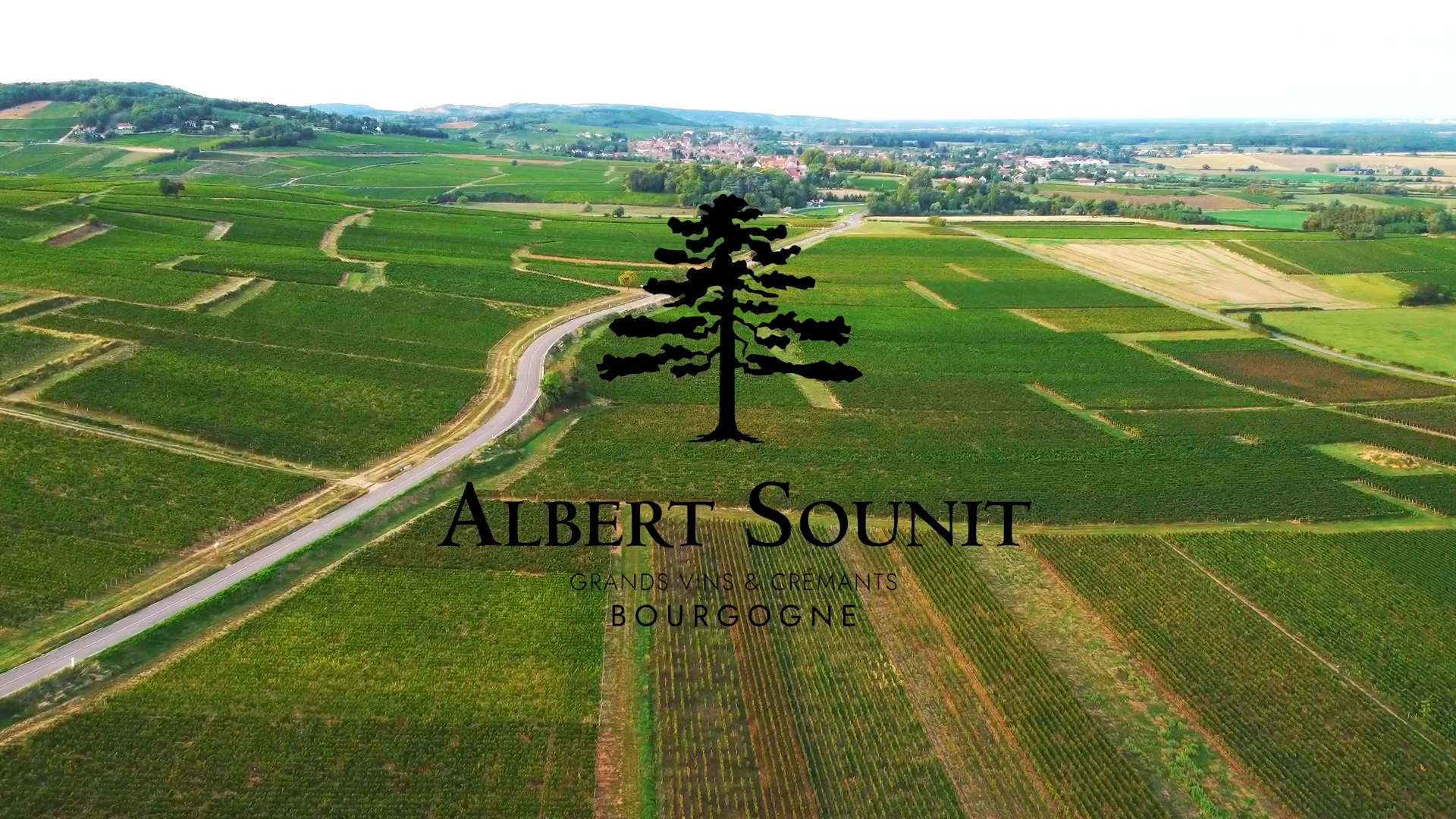 Maison Albert Sounit on Vimeo