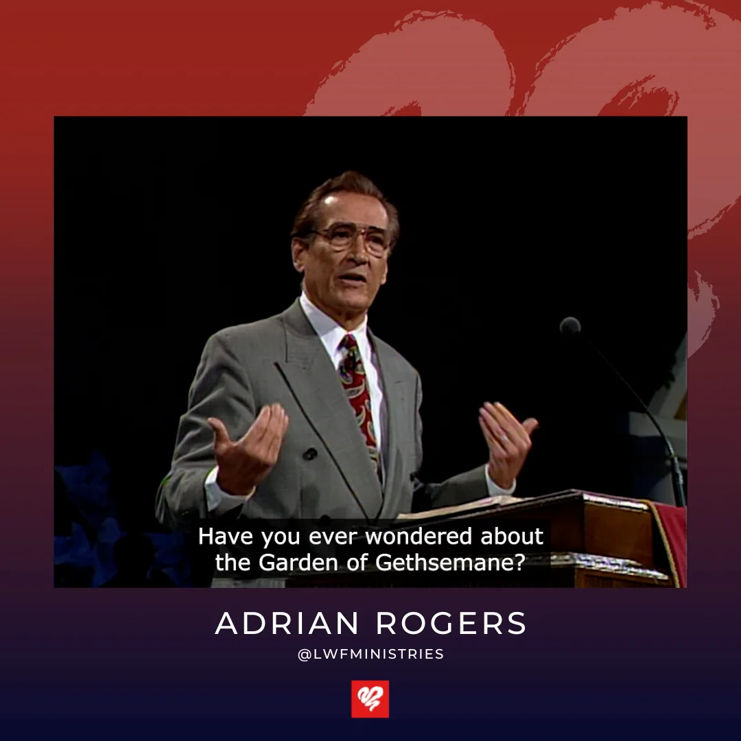 The Cup - Byte on Vimeo