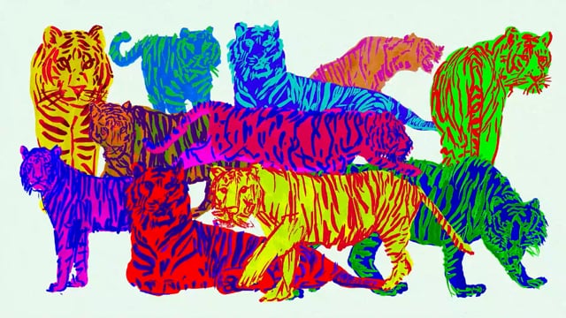 The Ballad of Suzanne Césaire - IFFR