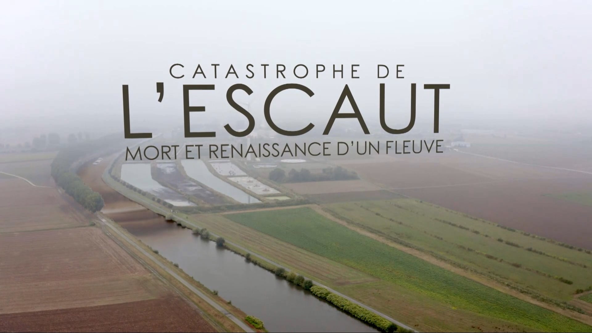 Thomas Risch - Catastrophe de l'Escaut, mort et renaissance d'un fleuve ...
