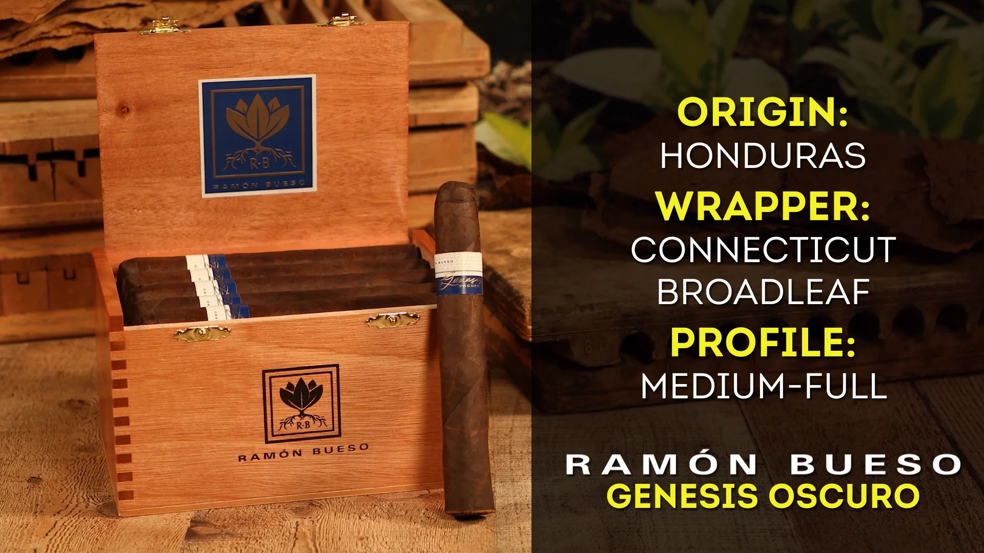 Ramón Bueso Genesis on Vimeo