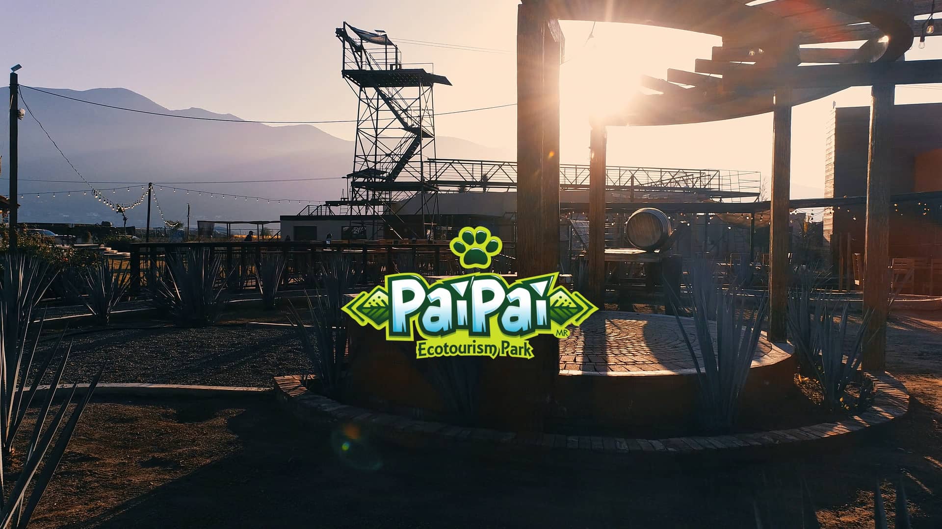 paipai crecimiento 2017-2024 on Vimeo
