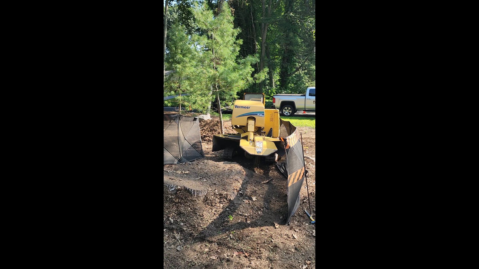 Professional Stump Grinding Near Me | Falcon Stump Grinding LLC