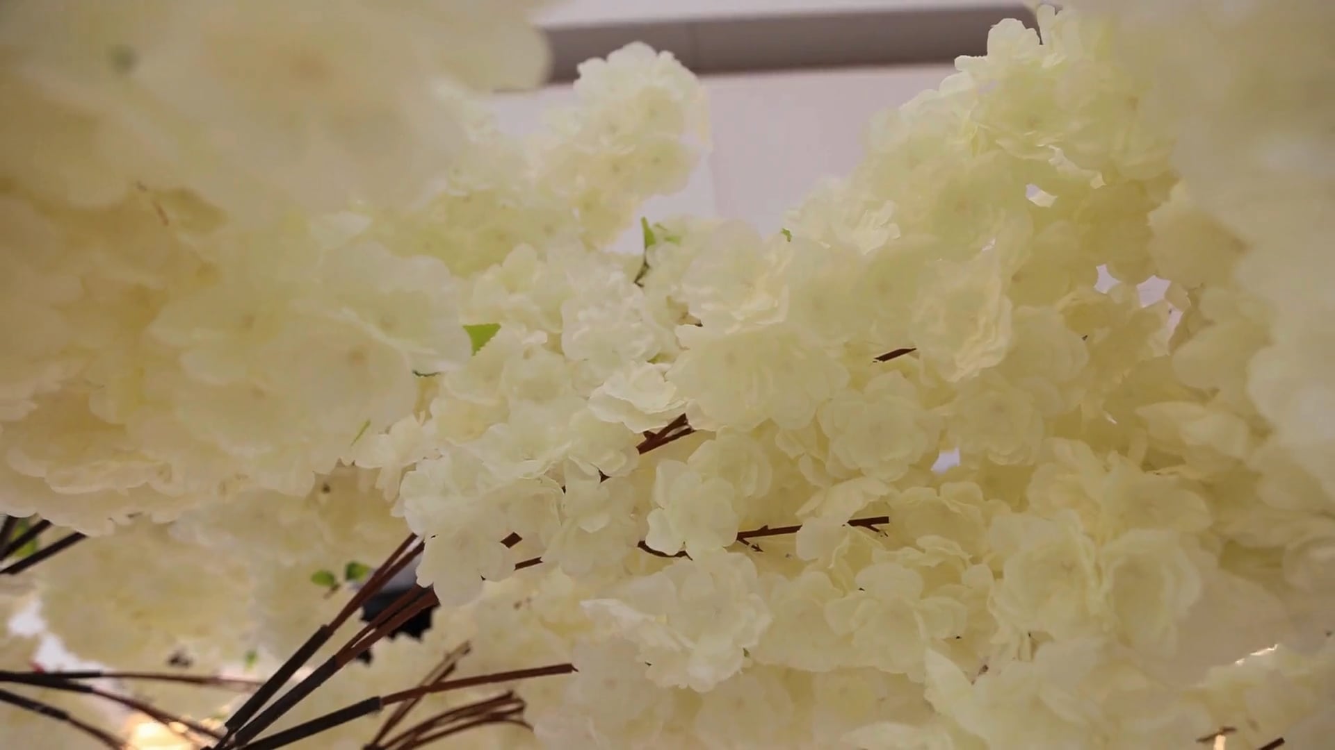 Wedding Event Hire | Events and Wedding Decorations Perth