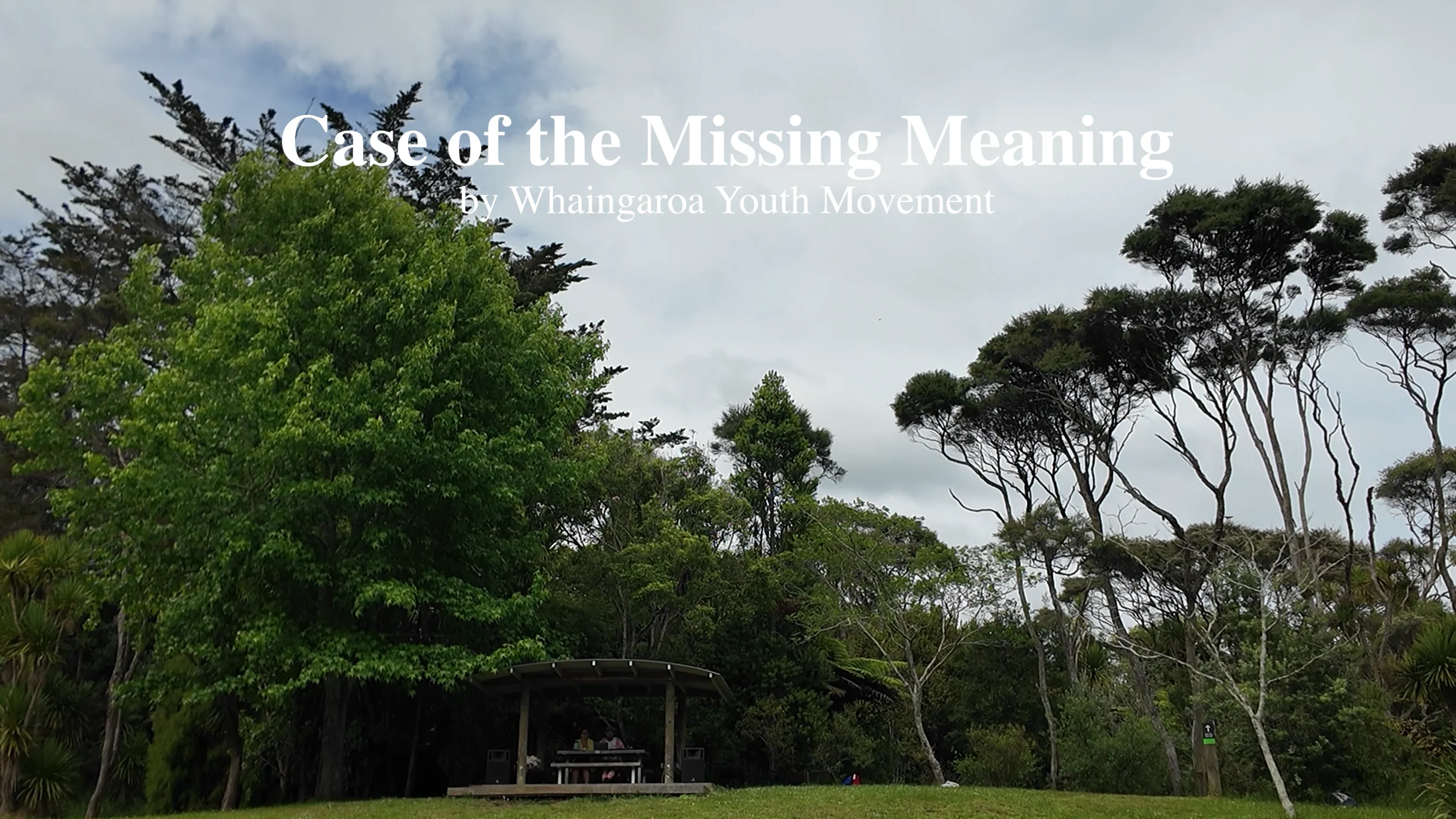 Case of the Missing Meaning on Vimeo
