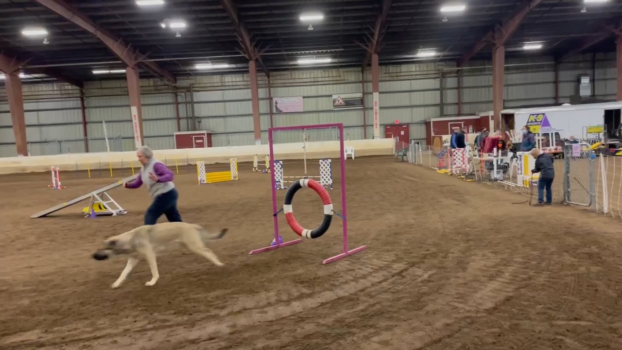 Thunder Paws Farm LLC