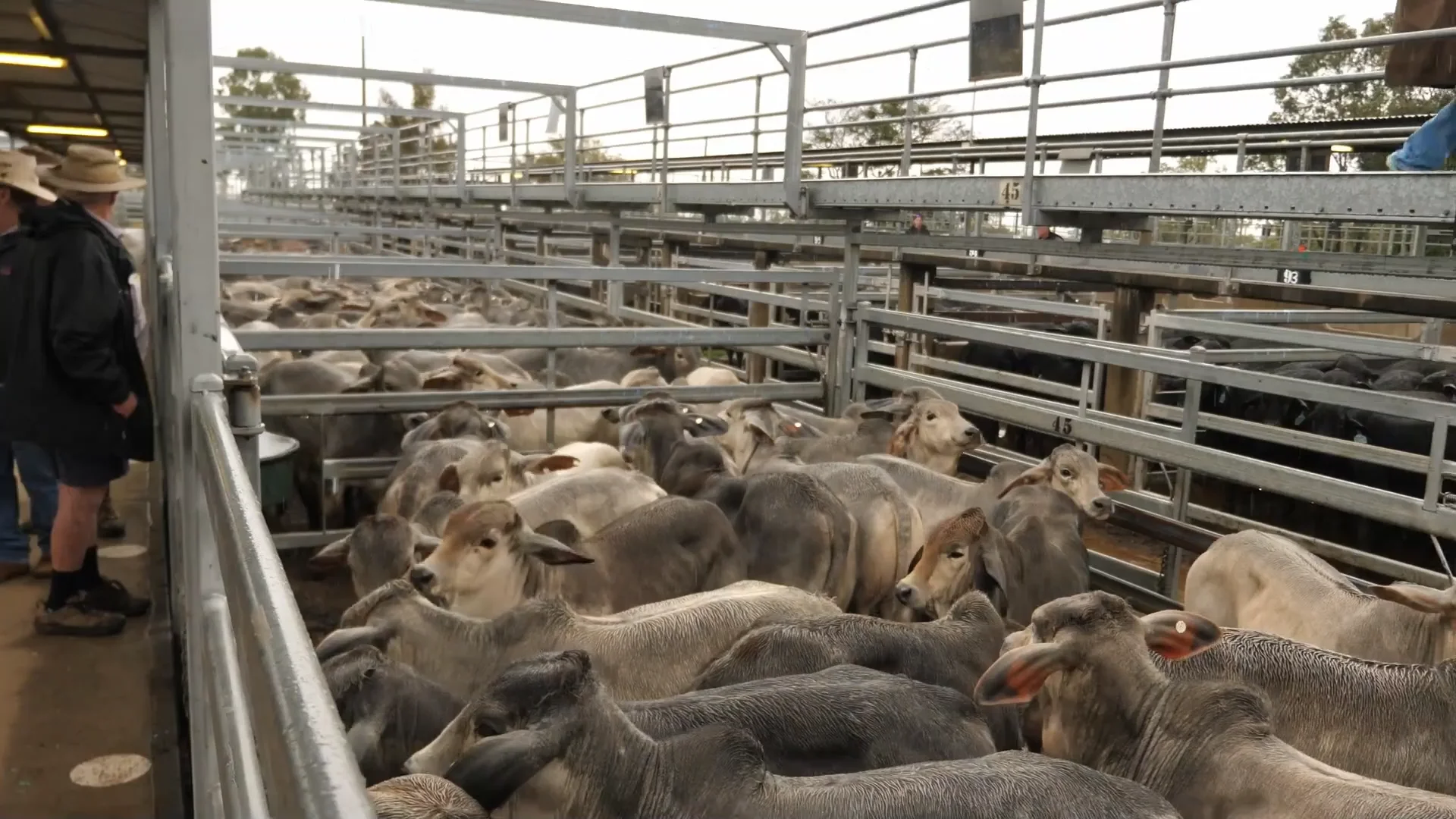 The Random Videographer on Vimeo