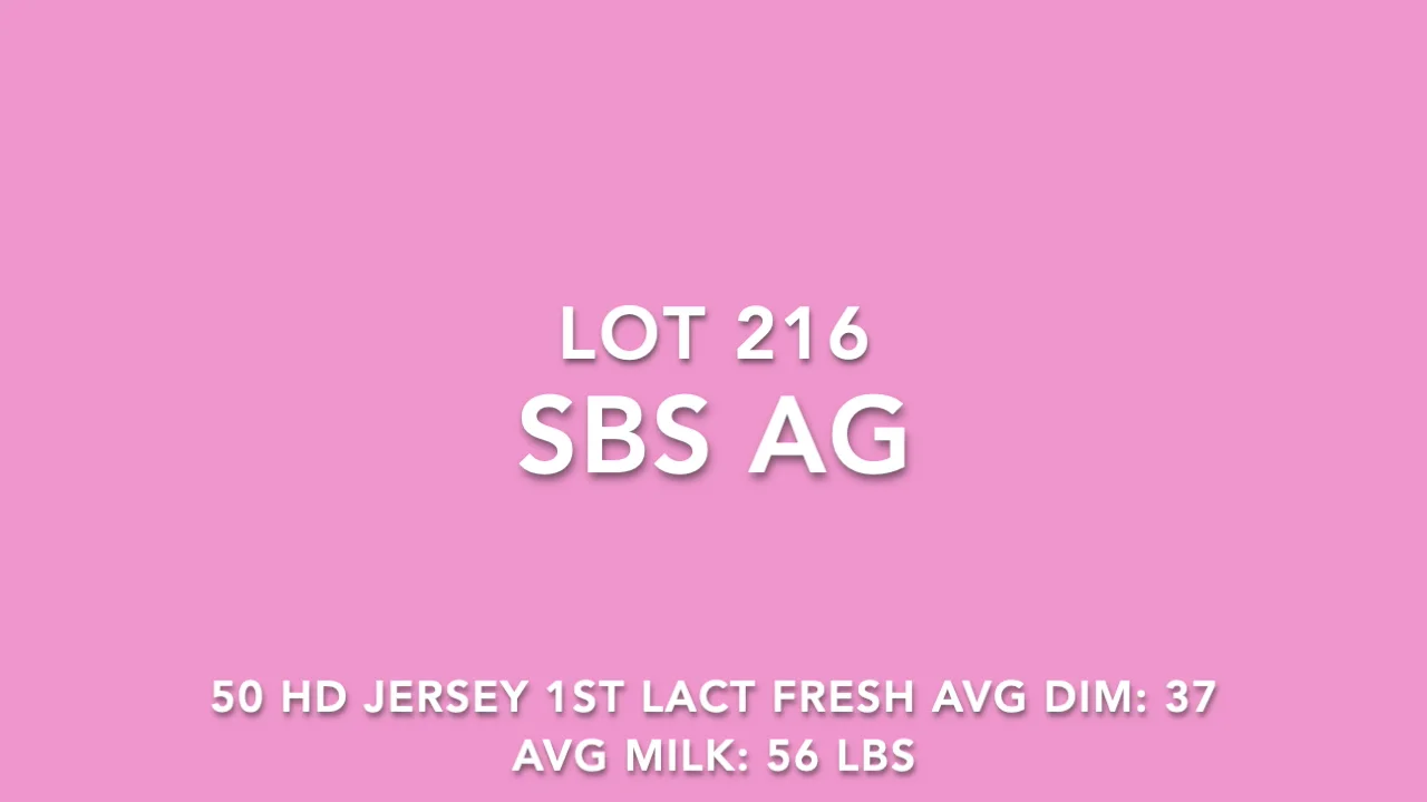LOT 216 SBS AG on Vimeo