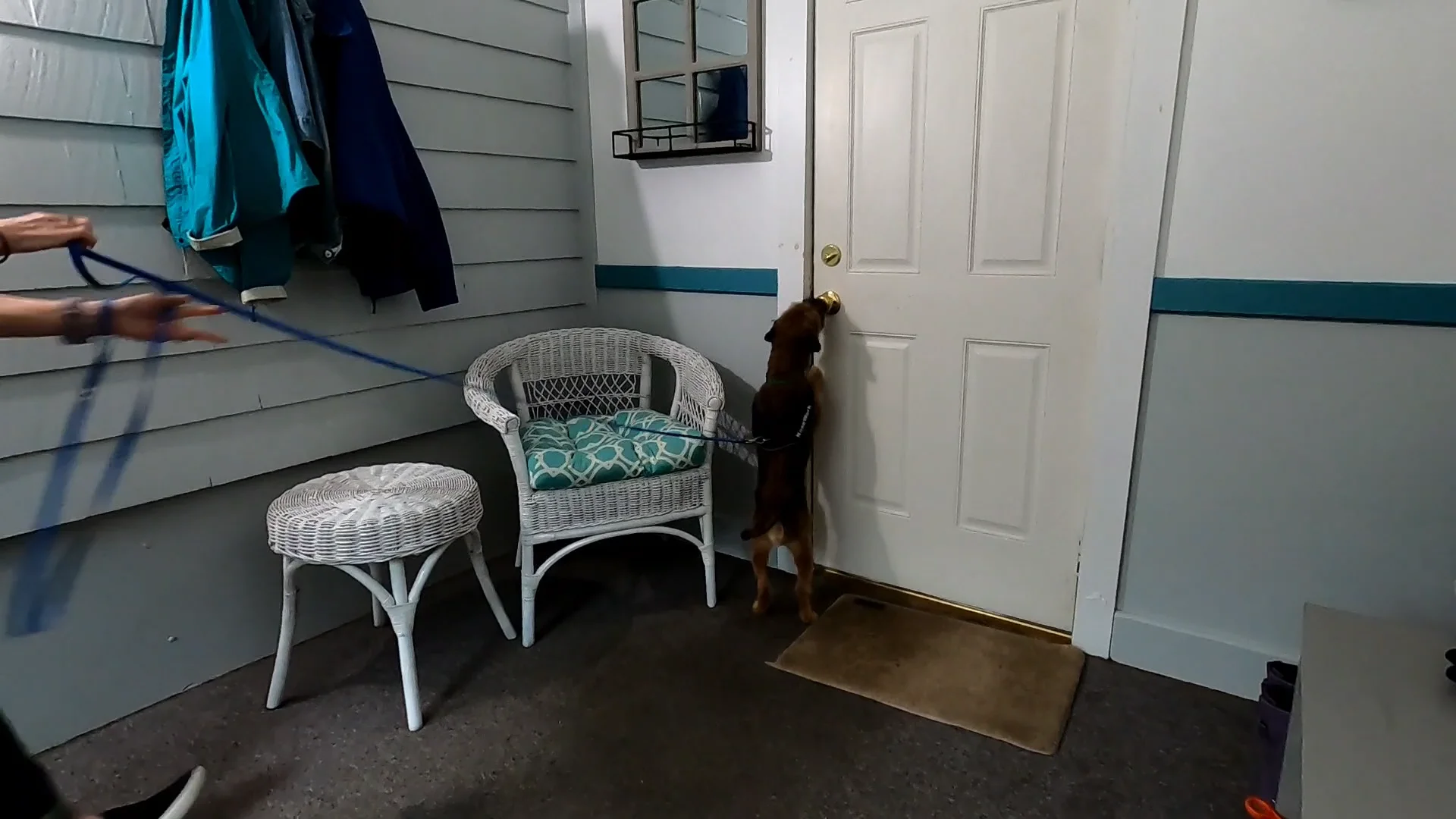 Elite S29 week 5 on Vimeo